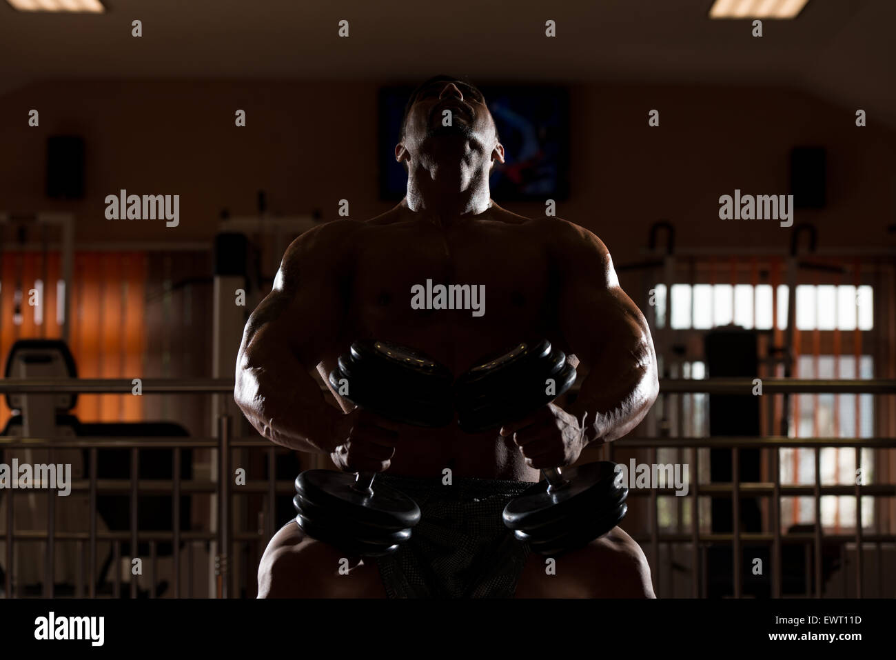 Mexican Bodybuilder Working Out Chest - Dumbbell Concentration Curls ...