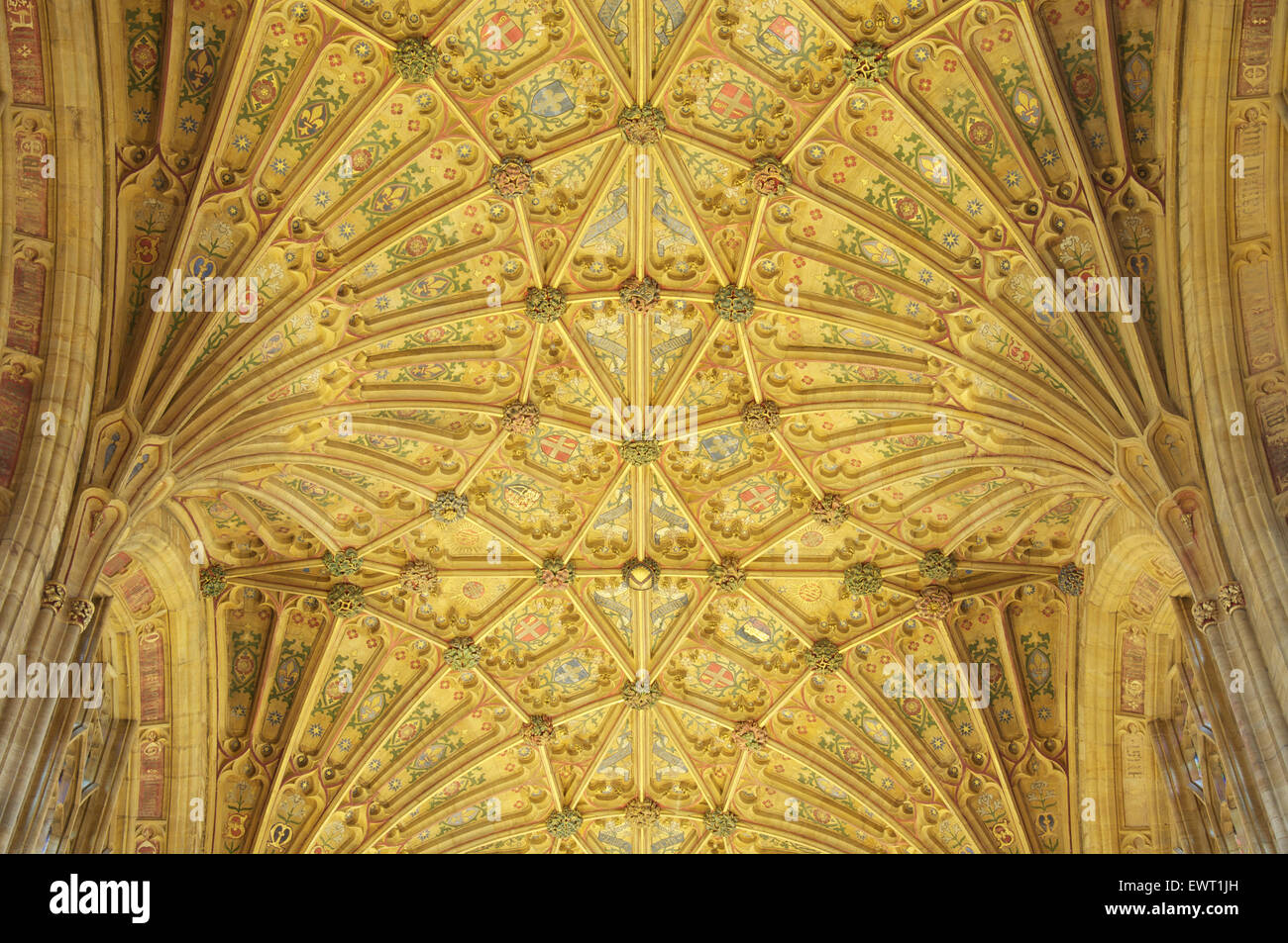 Vaulted roof with rib design hi-res stock photography and images - Alamy