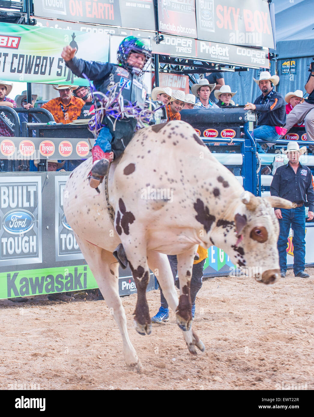 Cowboy Participating in a Bull riding Competition at the Las Cowboy ...
