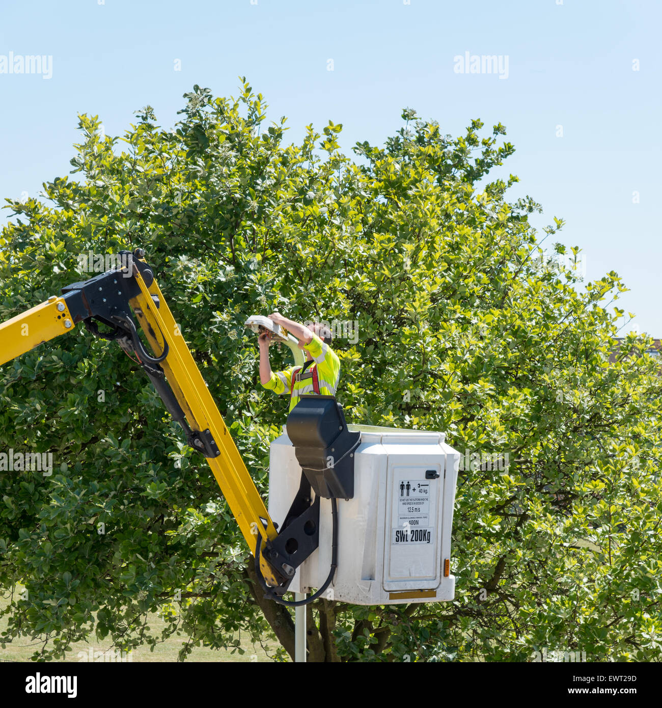 Cherry picker being used for traffic light maintenance in suburban ...