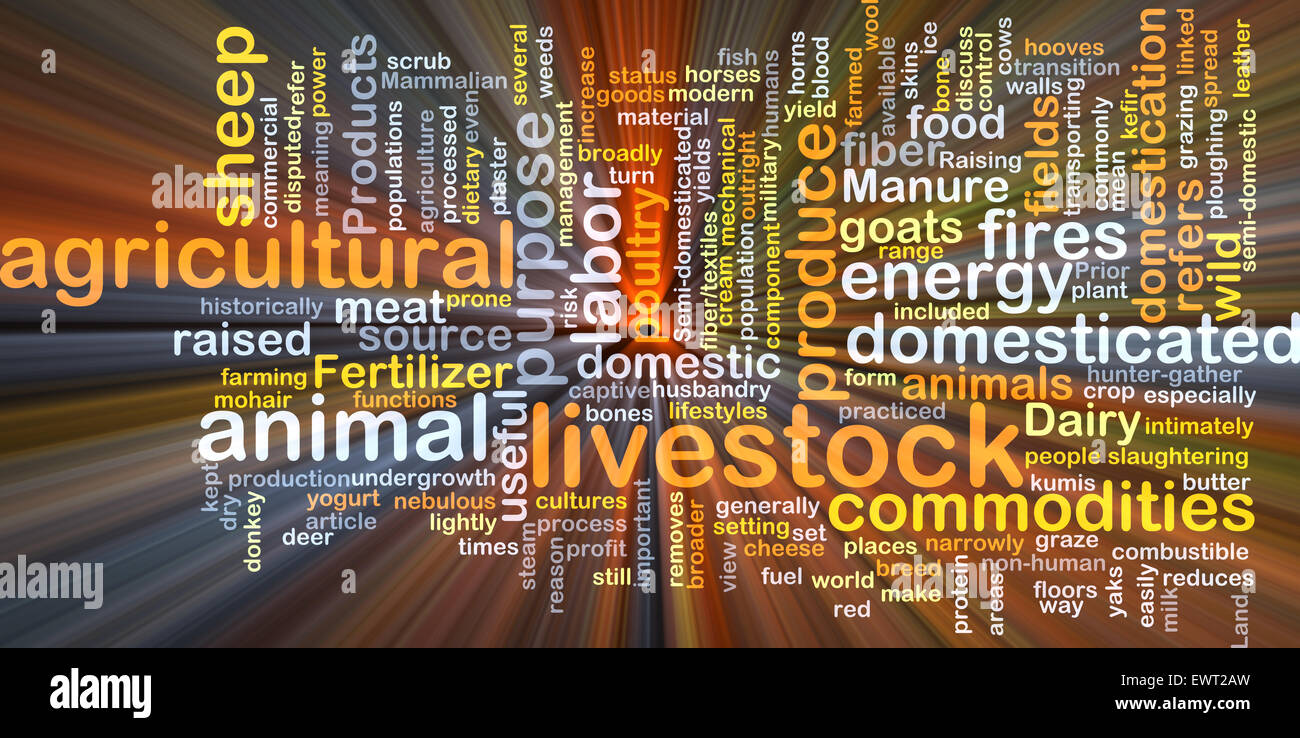 Background concept wordcloud illustration of livestock glowing light ...