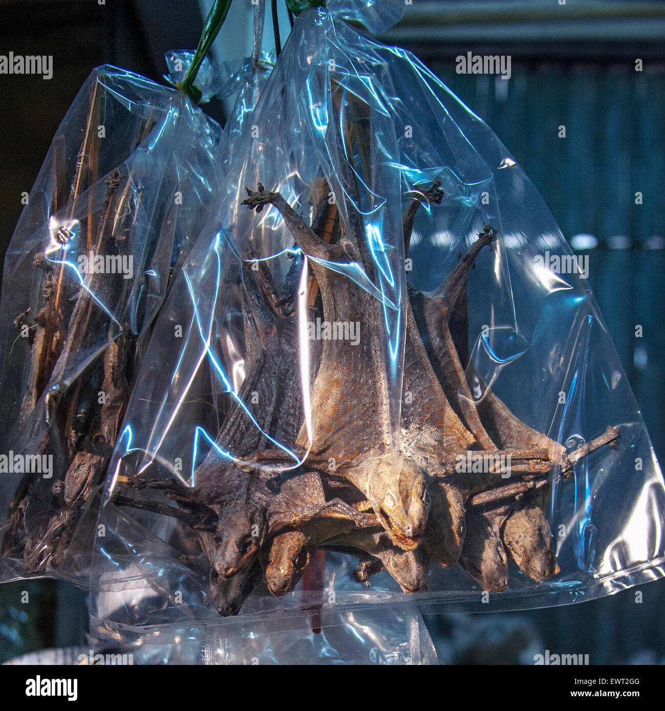 Dried lizards in market in Vietnam Stock Photo - Alamy