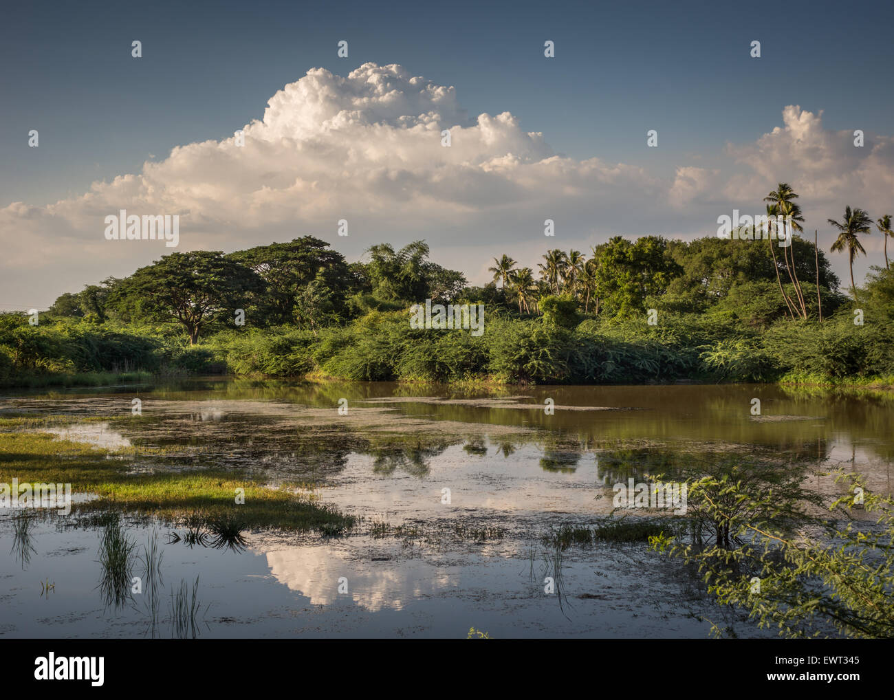 Storm gathers over the jungle along the Vennar River Stock Photo - Alamy