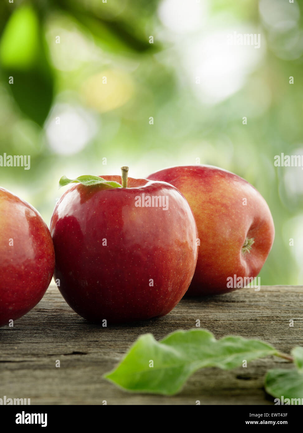 close up view of nice fresh apples on color background Stock Photo - Alamy