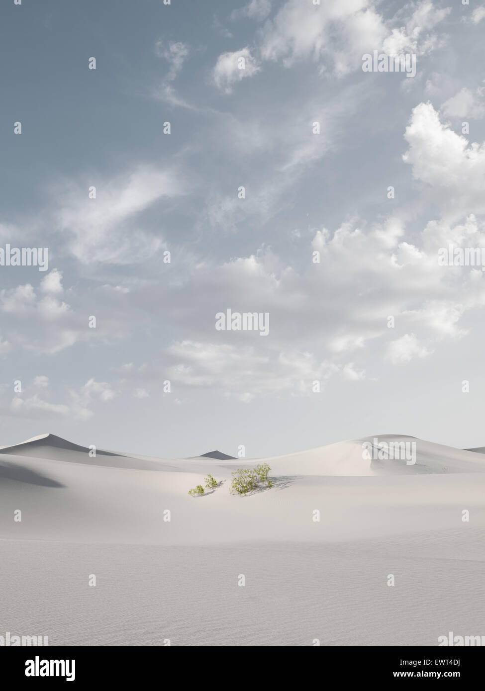 portrait of young woman sitting behind the table full of cash Stock ...
