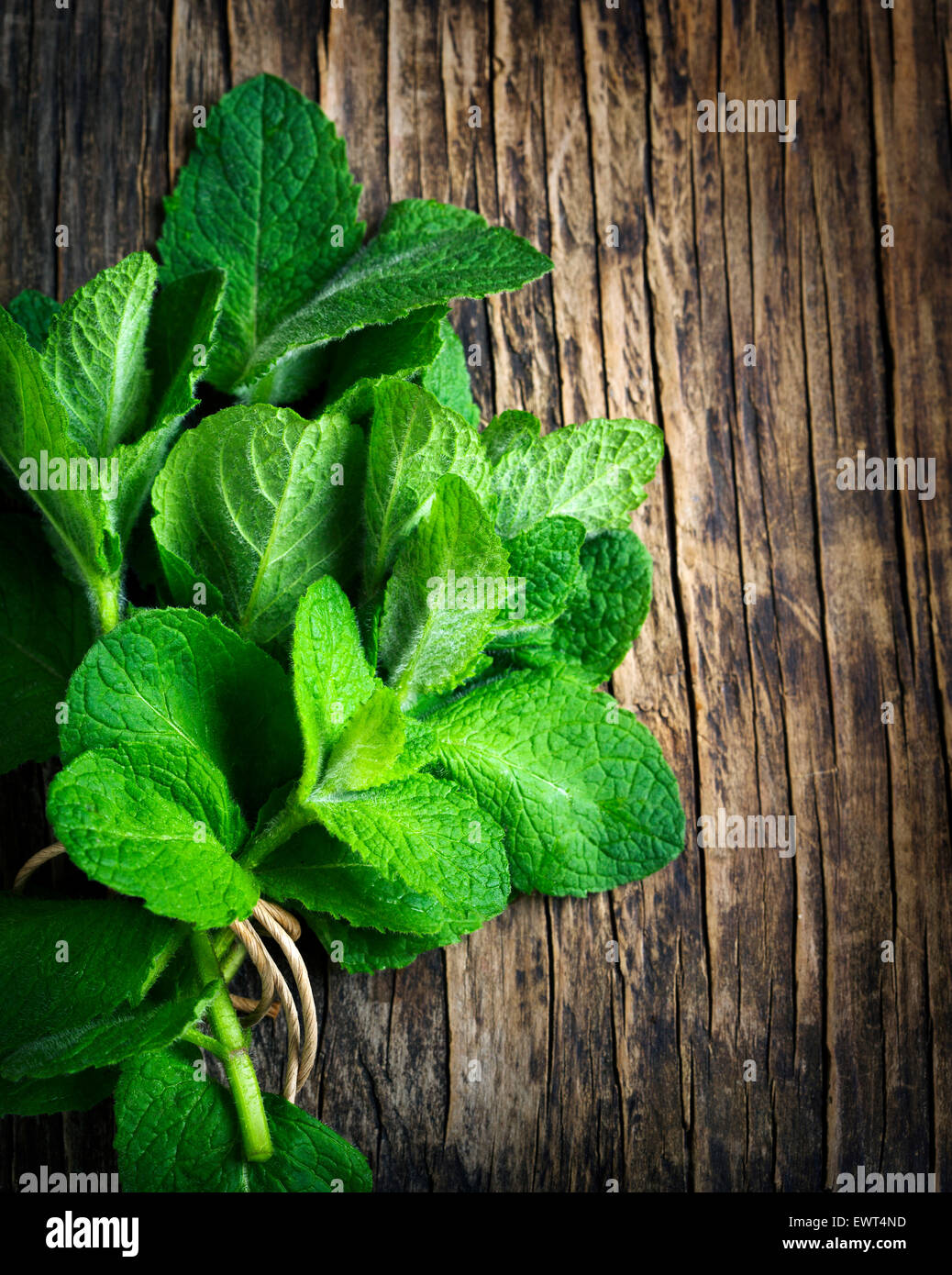 Fresh mint leaves Stock Photo - Alamy