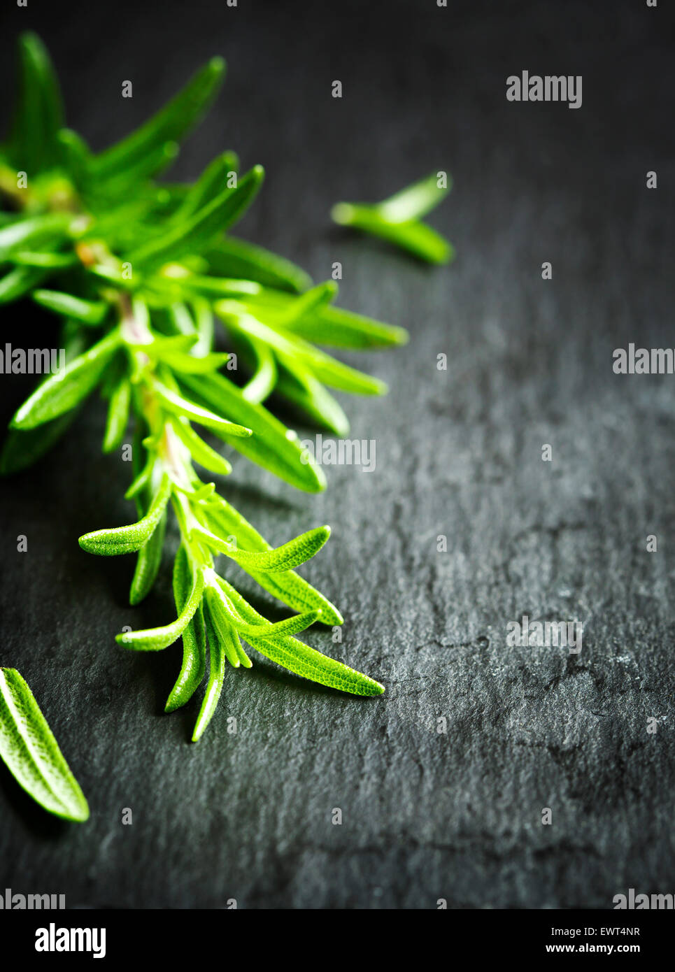 Food image of rosemary herb hi-res stock photography and images - Alamy