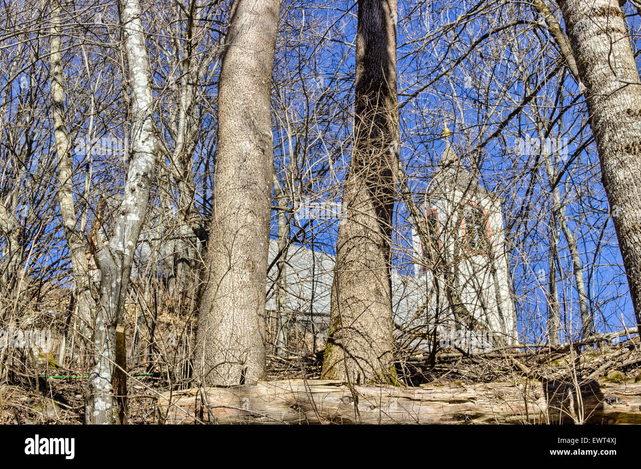 crossing branches on background of mountain parish church Stock Photo ...