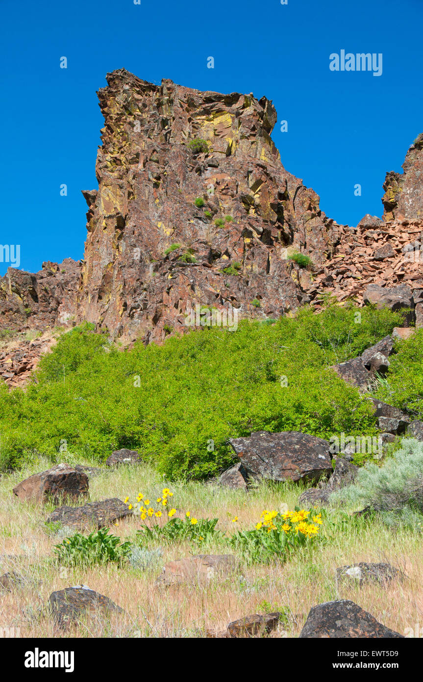 Horsethief Butte cliffs, Columbia Hills State Park, Columbia River ...