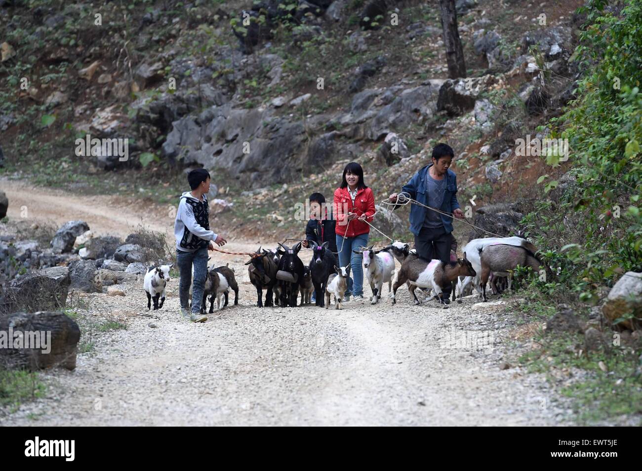 (150701) -- DAHUA, July 1, 2015 (Xinhua) -- 41-year-old villager Meng ...