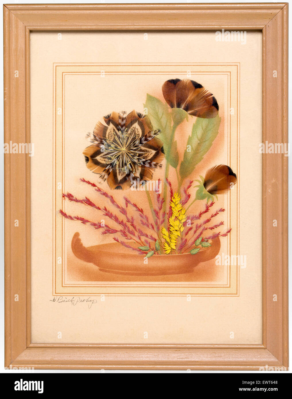 1940s collage of plants and bird feathers by North Dakota artist Ida ...