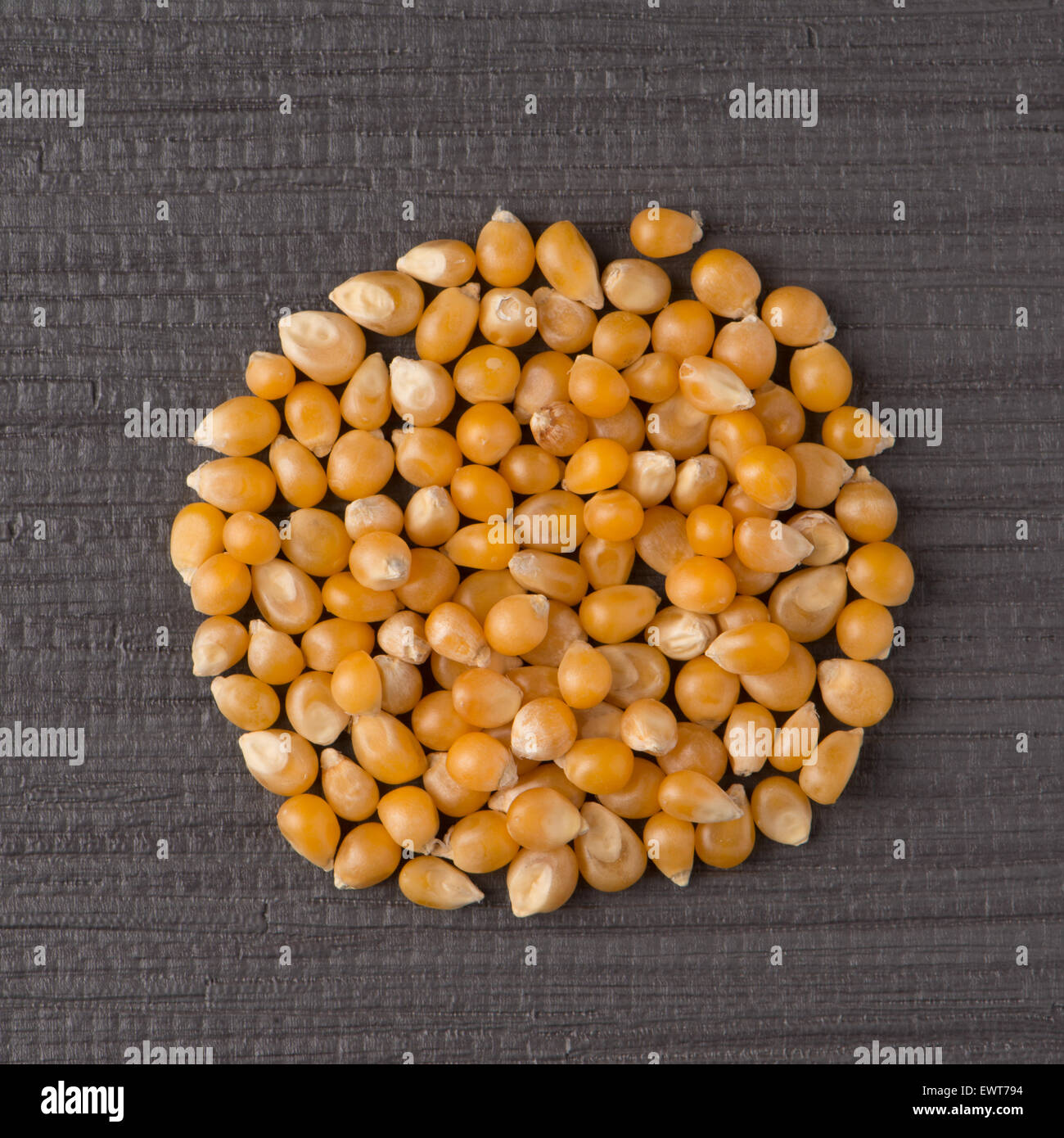 Top view of circle of corn against grey vinyl background Stock Photo ...