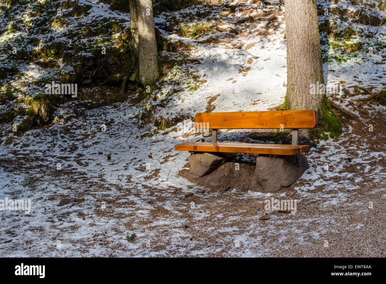 Wood and rock bench in a forest of green pines and firs on Dolomites ...