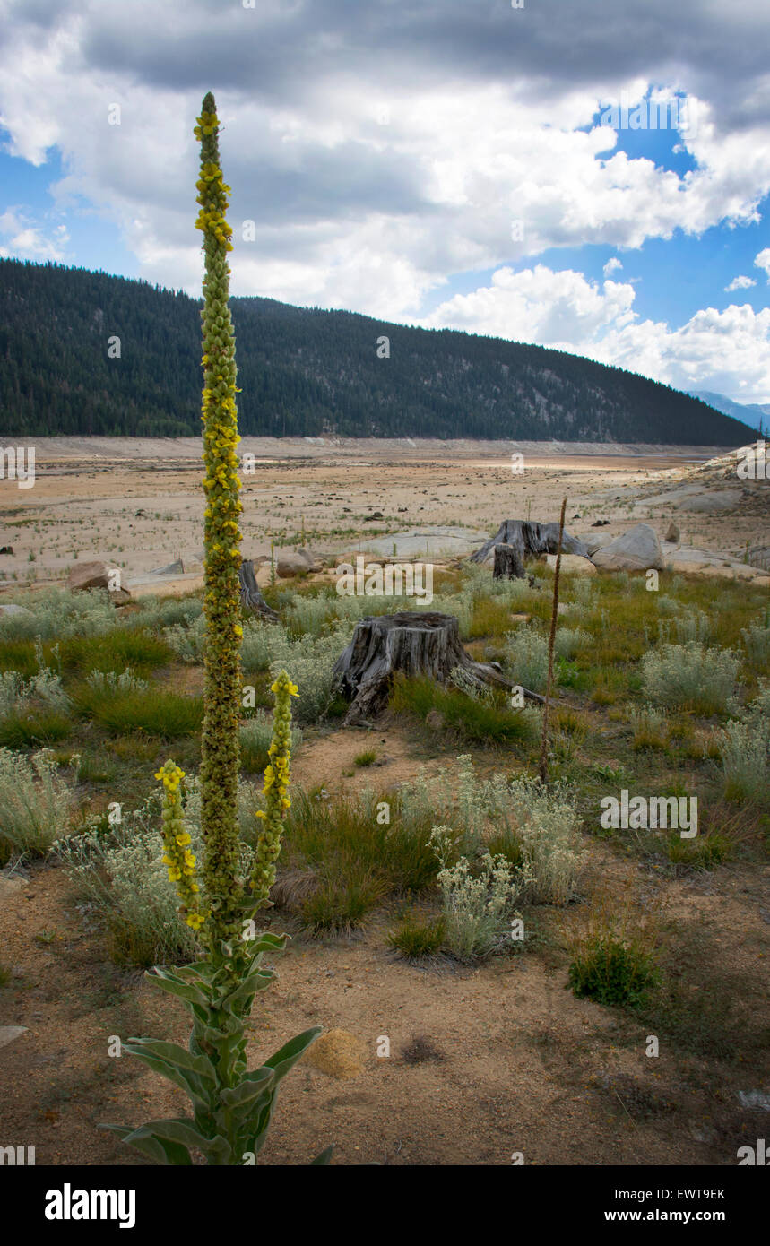 Thomas Edison Lake High Resolution Stock Photography and Images - Alamy