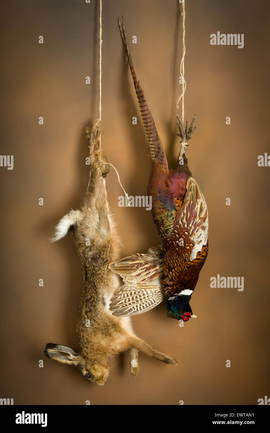 Rabbit hunting vintage hi-res stock photography and images - Alamy