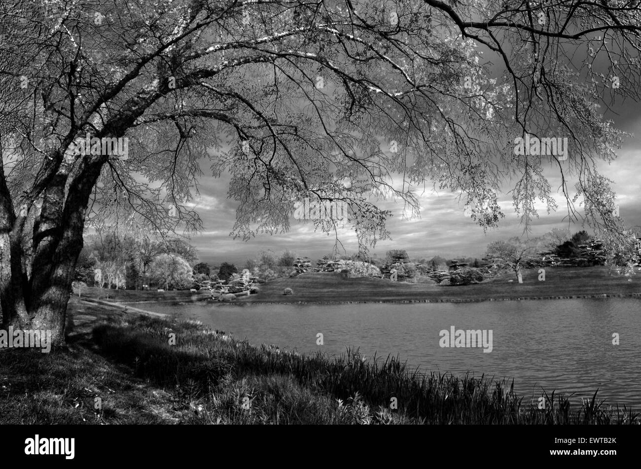 Chicago botanic garden hi-res stock photography and images - Alamy