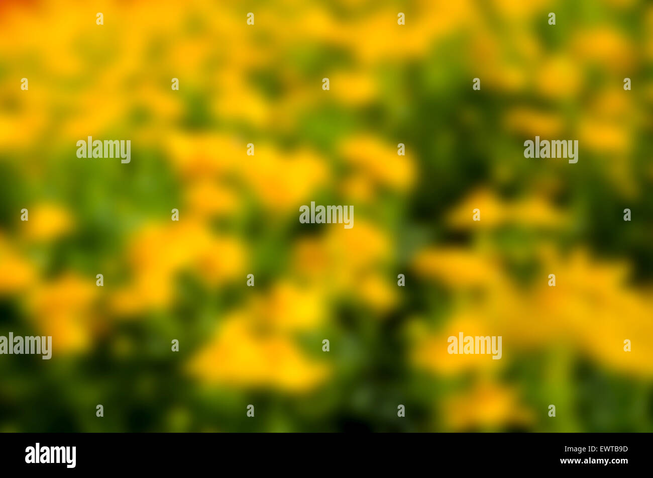 blurred flower background Stock Photo - Alamy