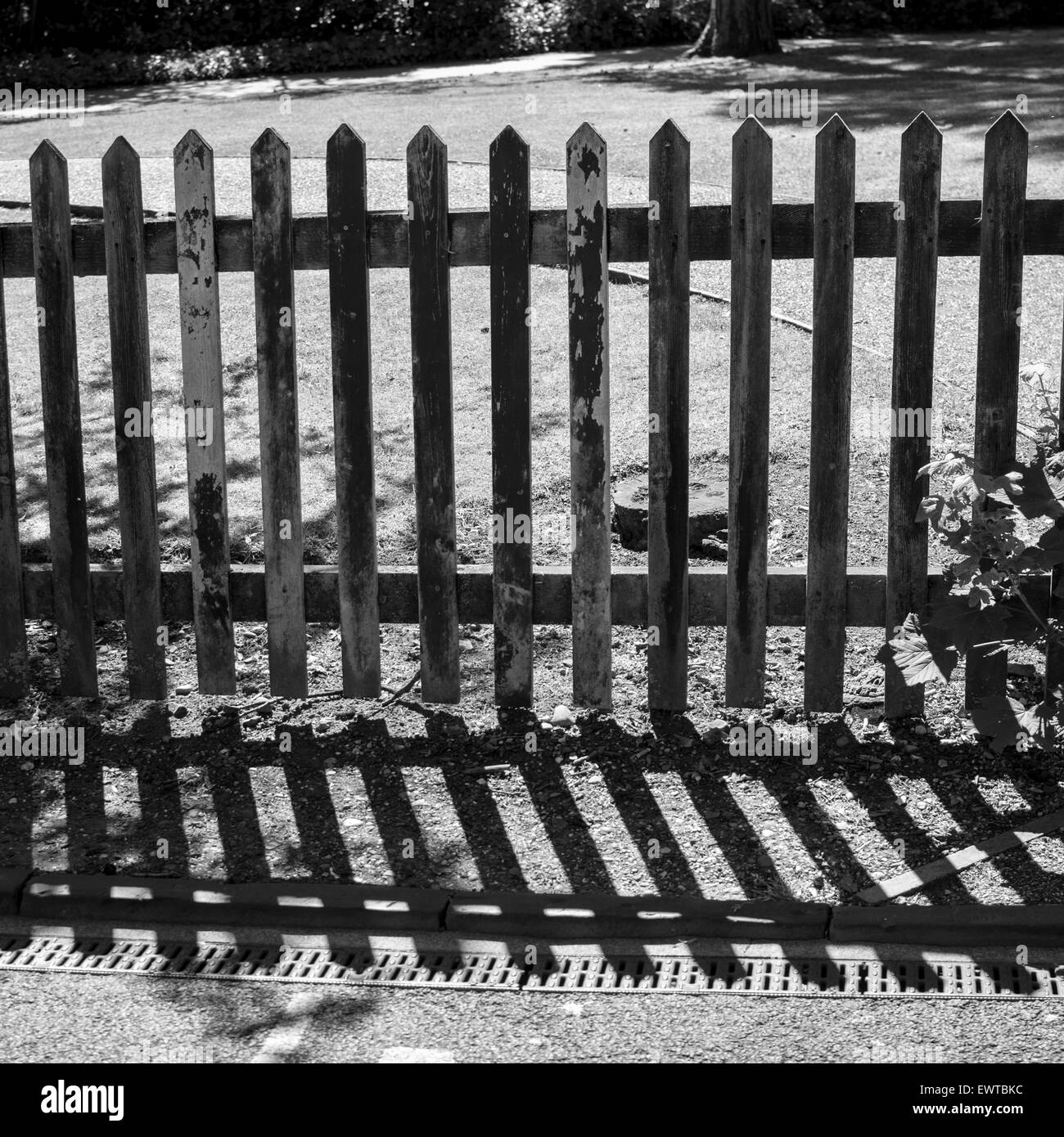 Wooden fence and shadow Stock Photo - Alamy