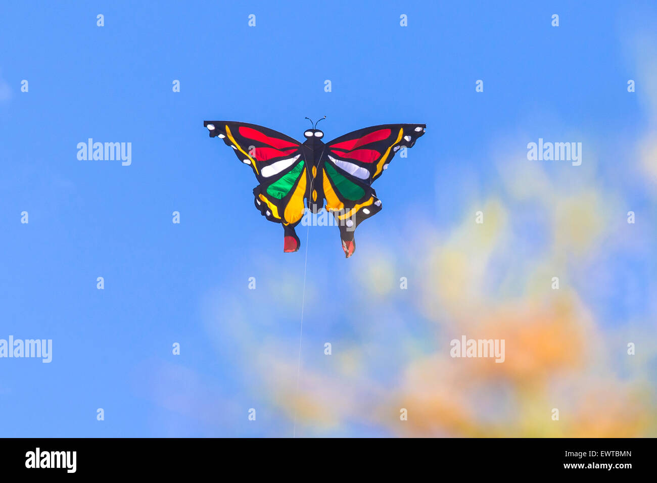 Colorful kite in blue sky Stock Photo - Alamy