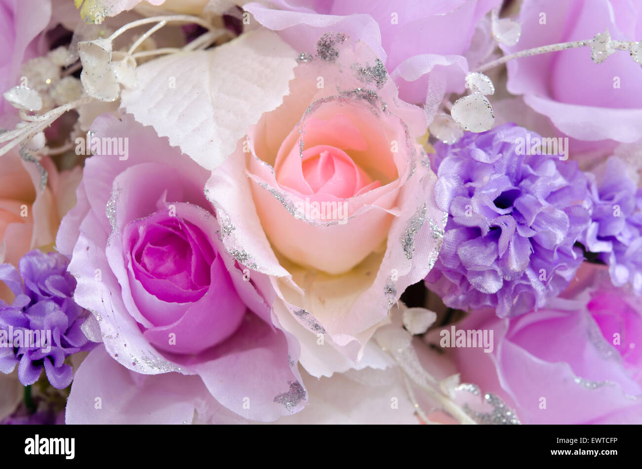 Bright pink roses background Stock Photo - Alamy