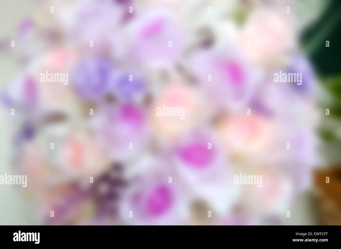 blurred flower background Stock Photo - Alamy