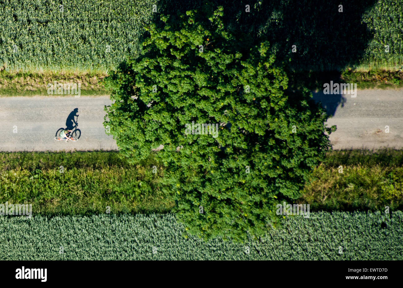 Hildesheim, Germany. 30th June, 2015. A child rides its bicycle along a ...