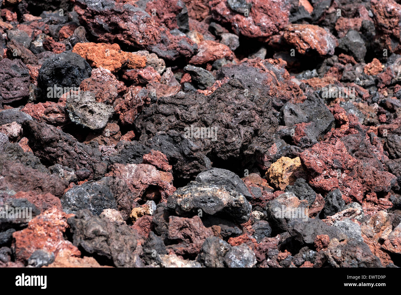 Reddish picture hi-res stock photography and images - Alamy
