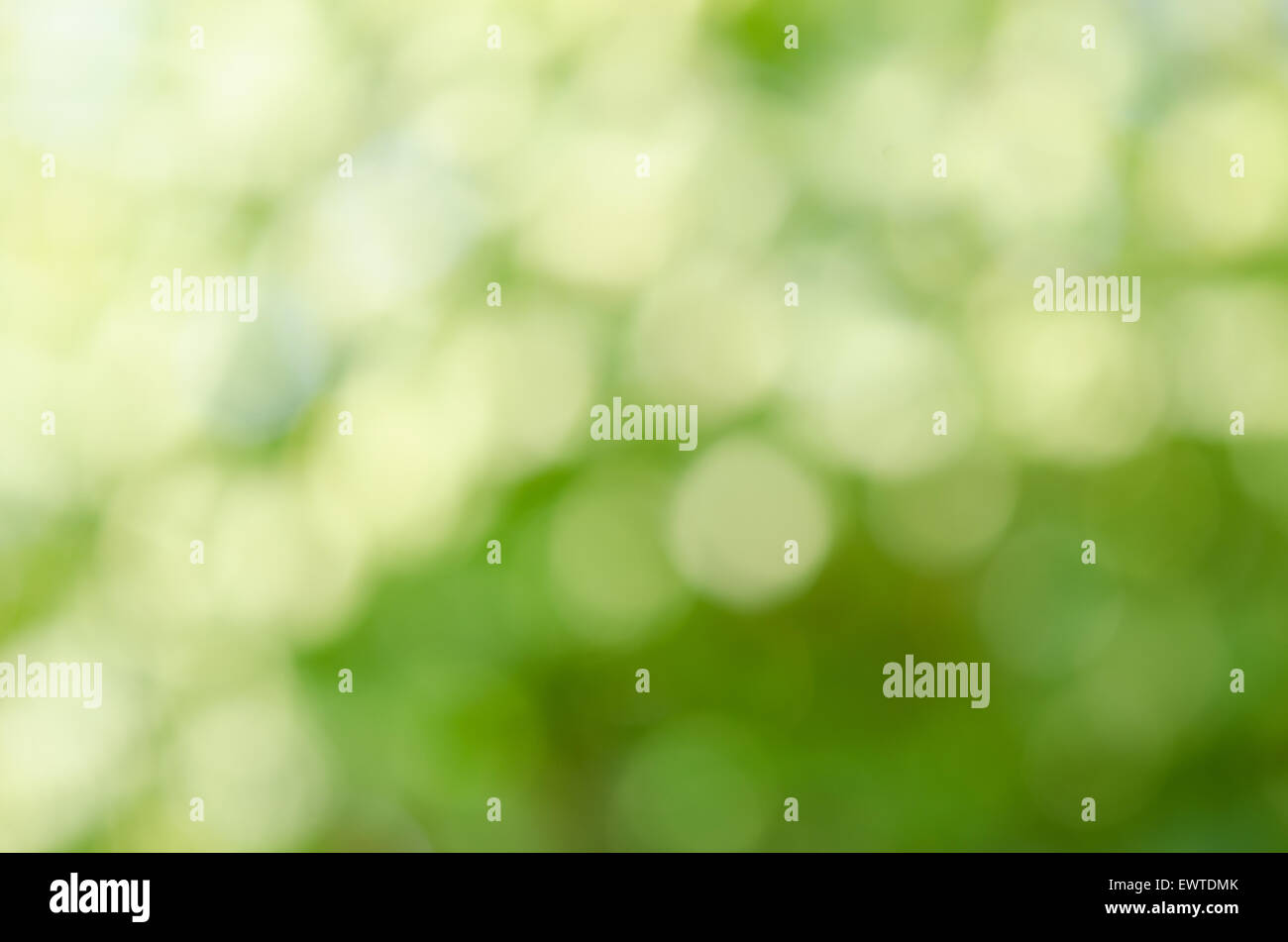 Natural green blurred background Stock Photo - Alamy
