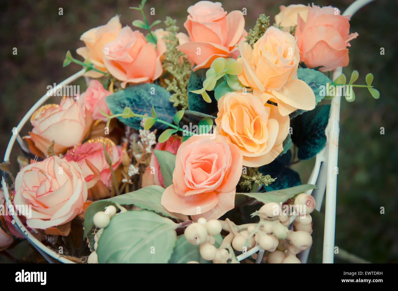 rose flower in garden. vintage Stock Photo - Alamy