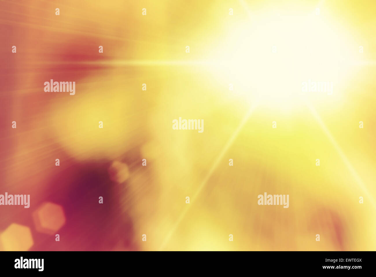 Light natural backdrop hi-res stock photography and images - Alamy