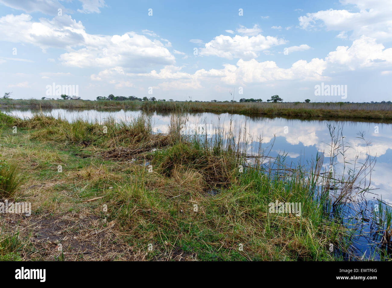 African landscape in national park nambwa on Caprivi Strip Namibia ...