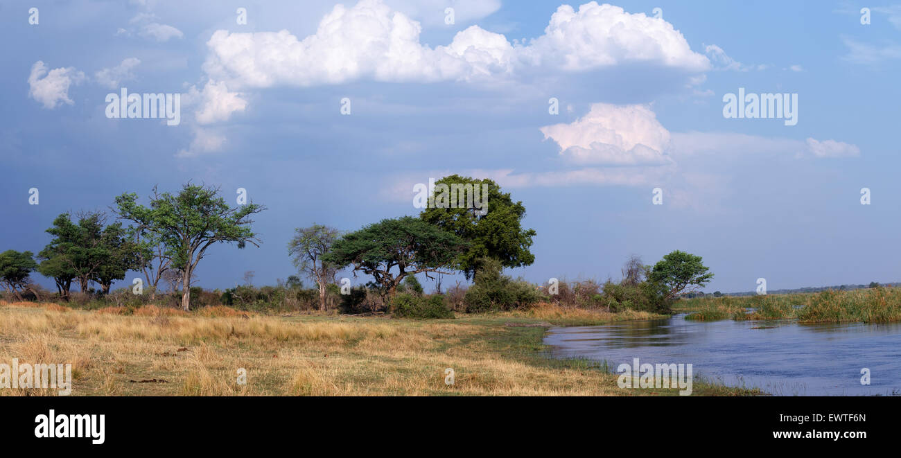 wide panorama of african landscape in national park nambwa on Caprivi ...