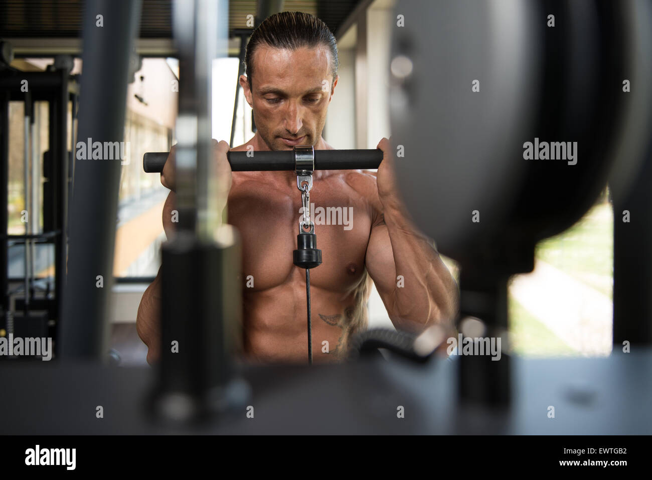Muscular Mature Man Bodybuilder Doing Heavy Weight Exercise For Biceps ...