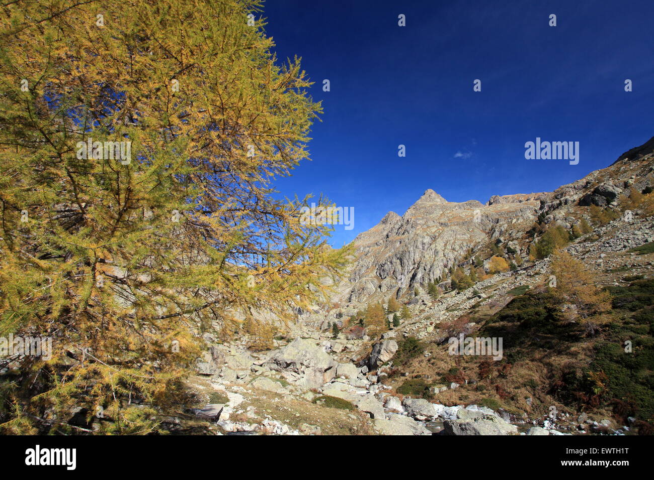 The Gordolasque valley in the Mercantour national park, Alpes ...