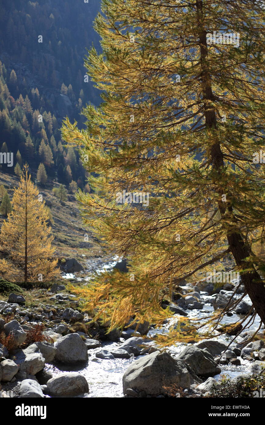 Gordolasque hi-res stock photography and images - Alamy