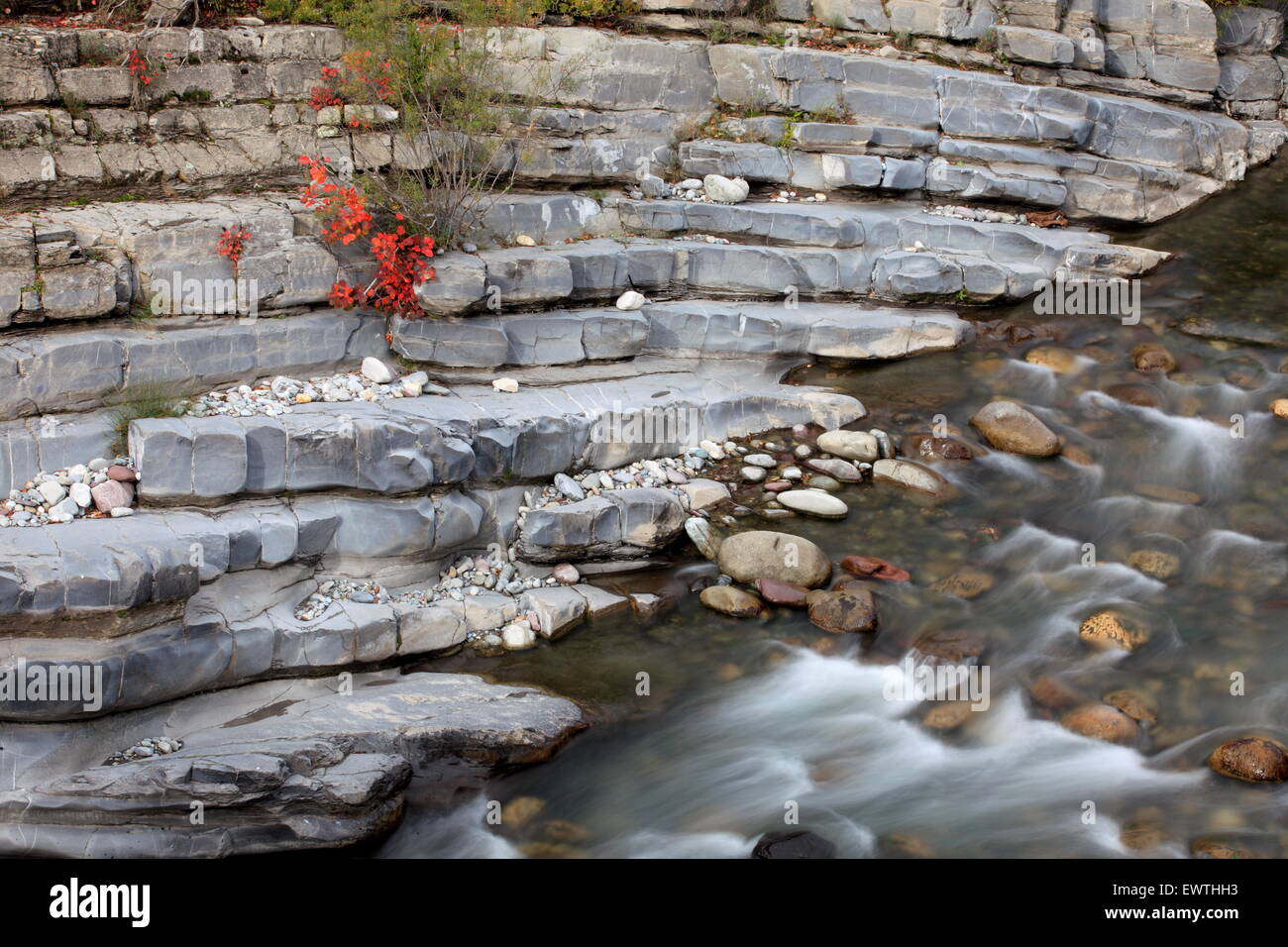 The Tinee river in the Mercantour national park Stock Photo - Alamy