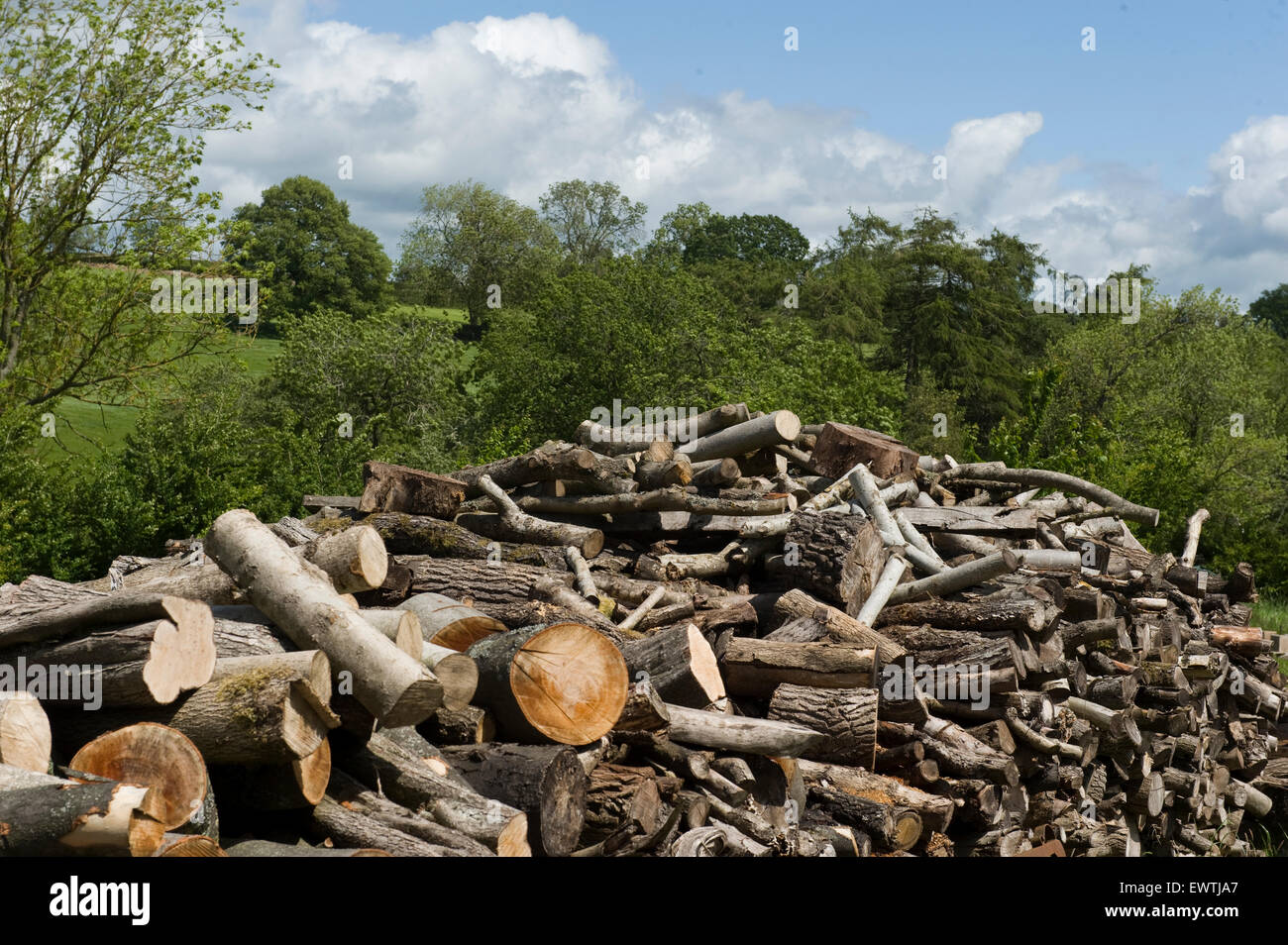 Pile of logs ready for an open fire. Close up of the ends of piles of ...