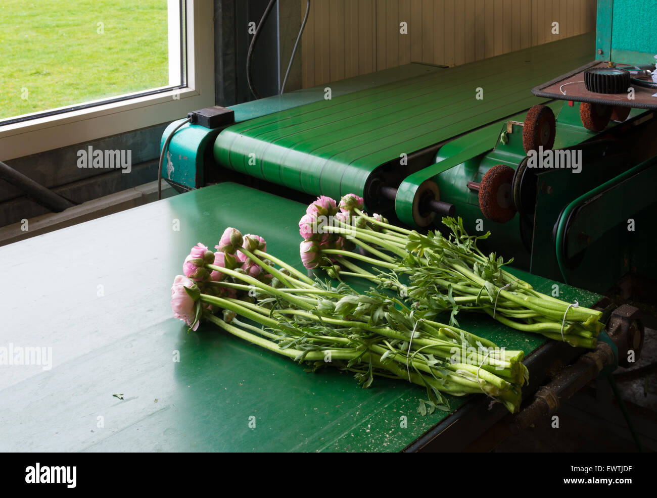 Bundling machine hi-res stock photography and images - Alamy