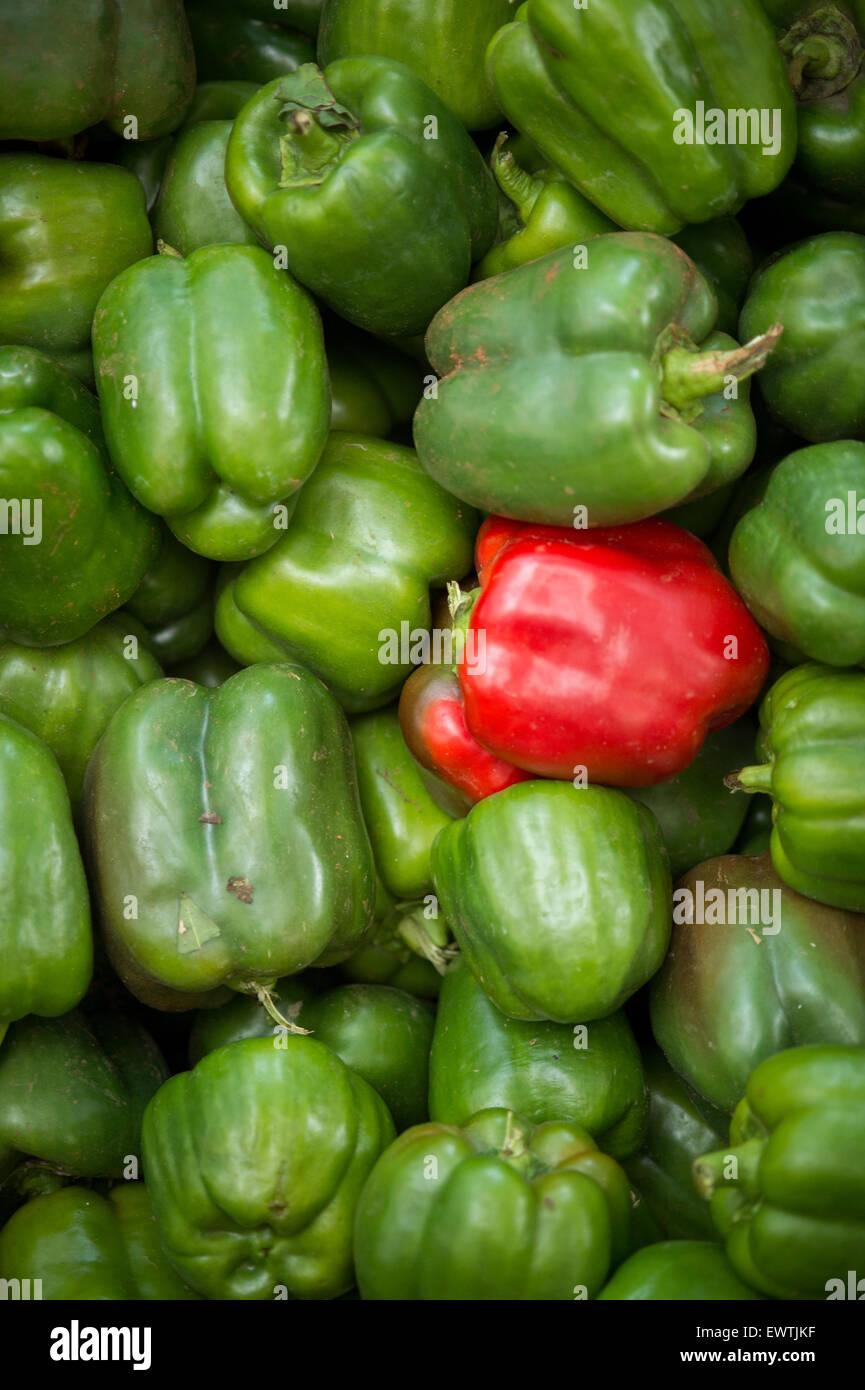 SOUTH AFRICA- Peppers for sale at Pretoria farmers market Stock Photo ...