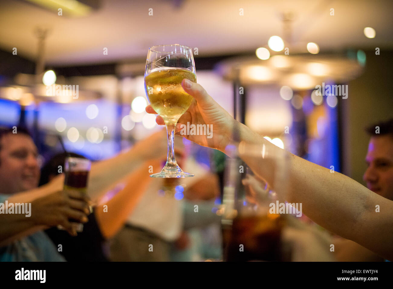 SOUTH AFRICA- Group giving a toast in Rhapsody restaurant, Pretoria ...