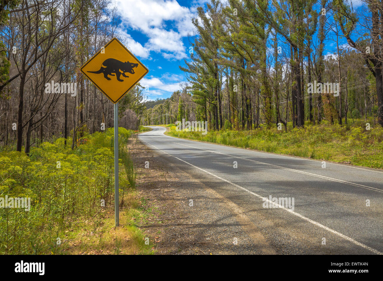 Tasmanian devil warning sign hi-res stock photography and images - Alamy
