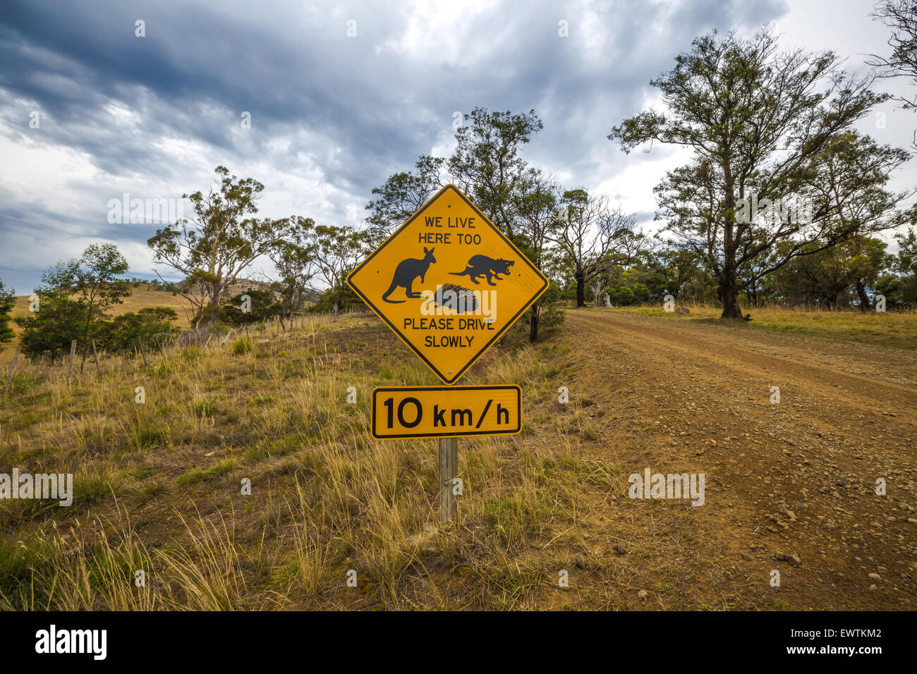 Australian kangaroo road signs hi-res stock photography and images - Alamy