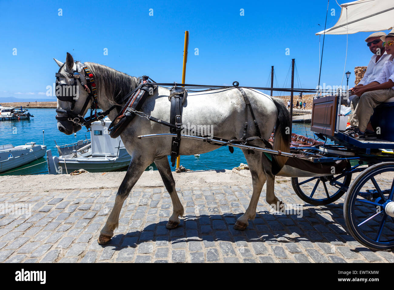 Chania Horse carriage in Old Venetian harbour Chania Crete Greece Stock ...