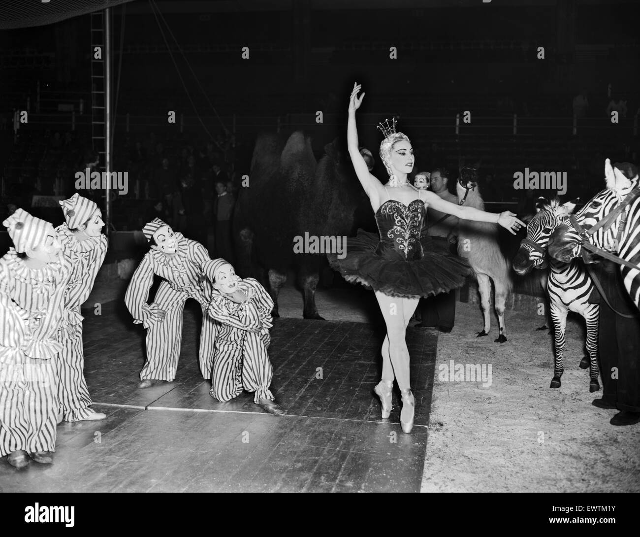 A ballet dancer during a circus rehearsal at Olympia, London, 14th ...