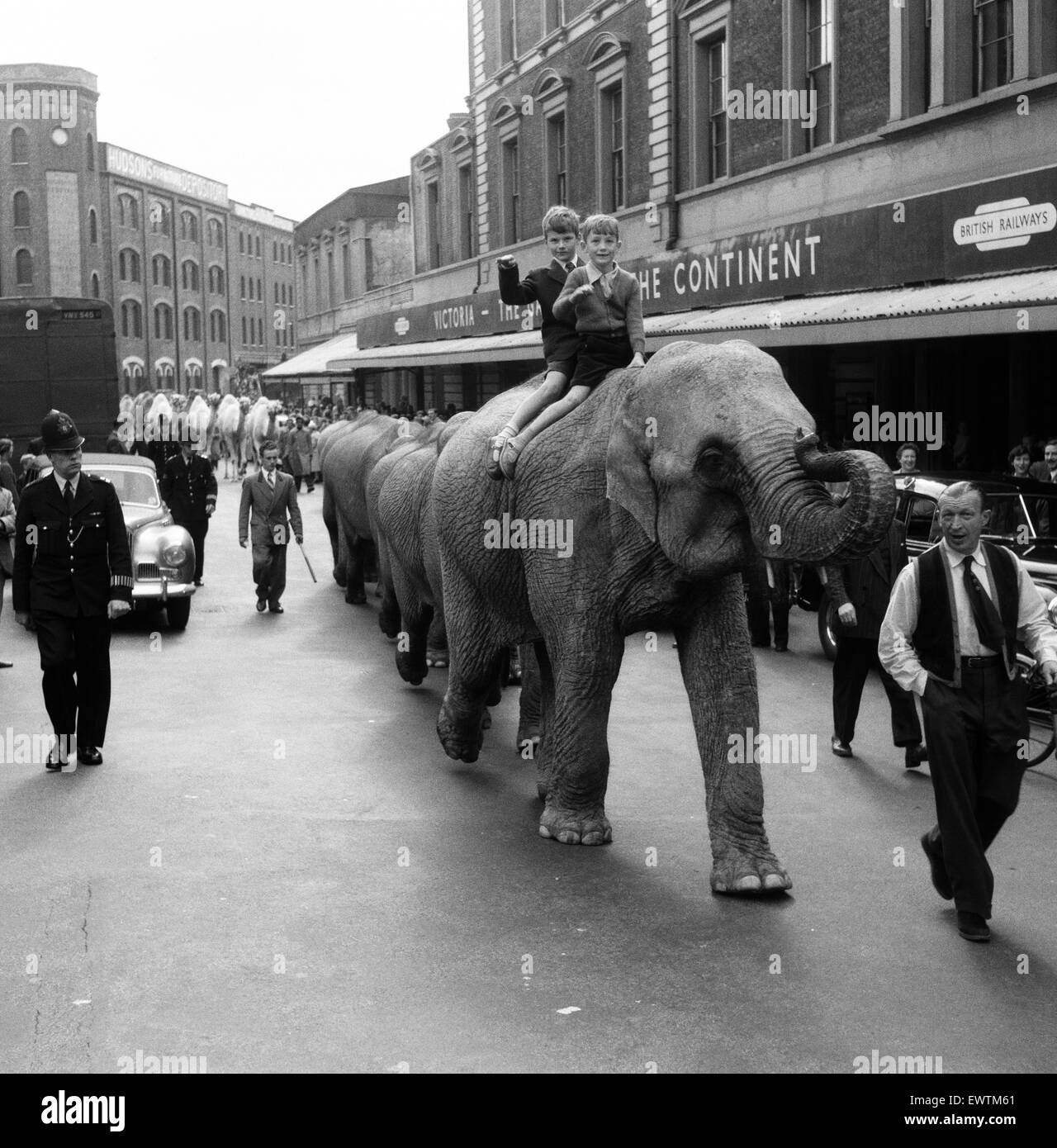 Billy Smart's Circus animals leaving Victoria, london. 18th September ...