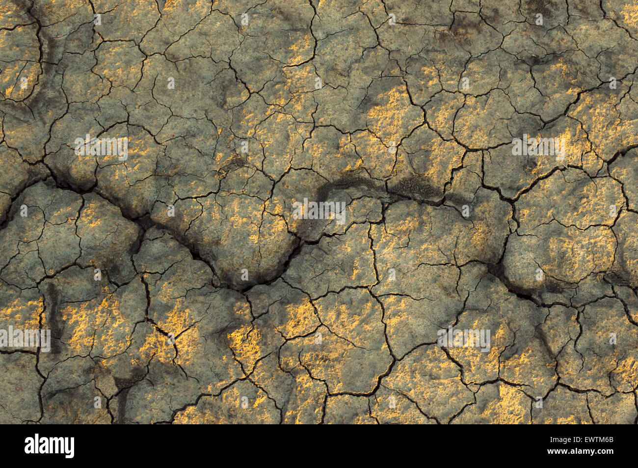 Soil texture hi-res stock photography and images - Alamy