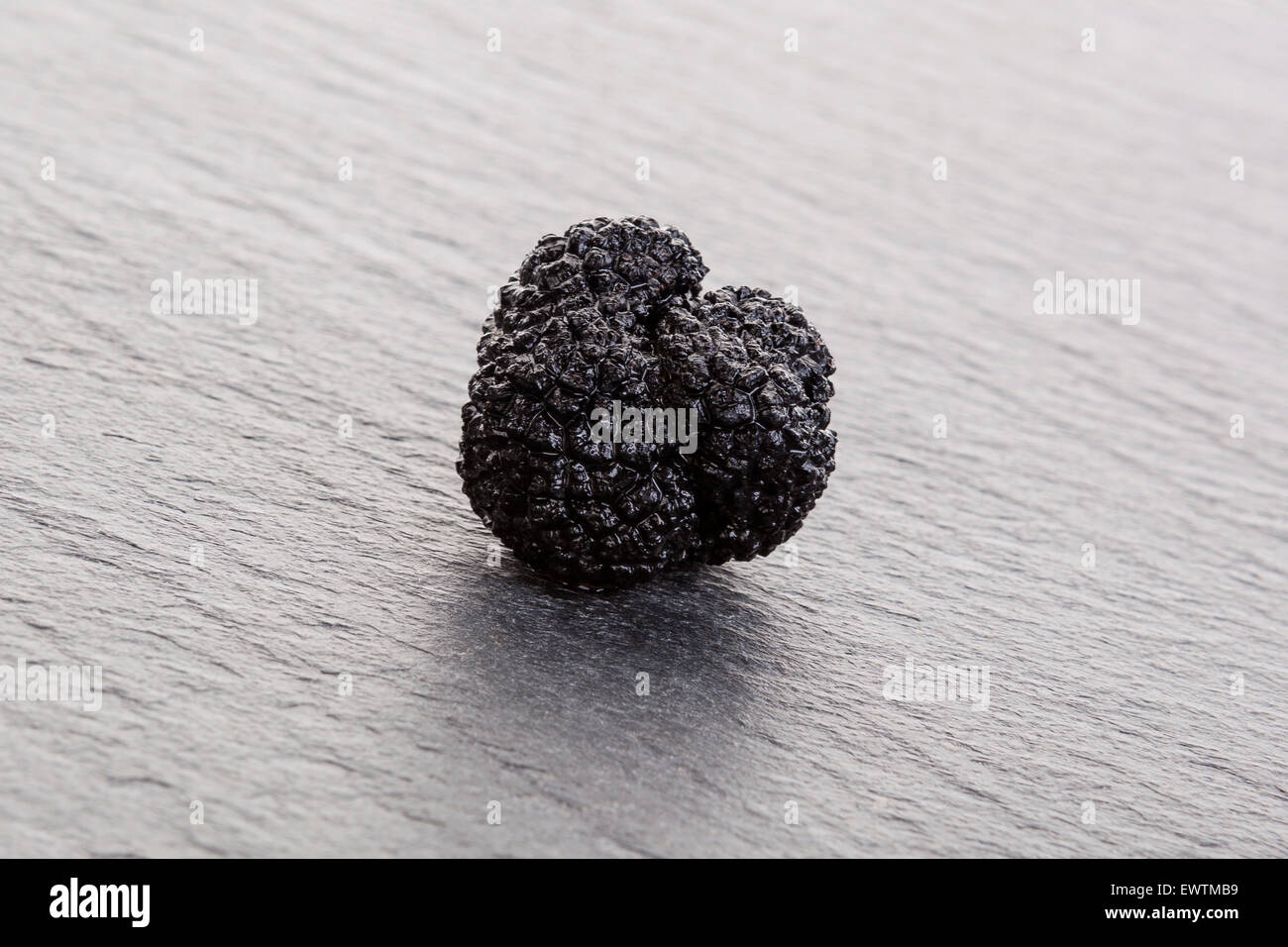 Truffles mushrooms hi-res stock photography and images - Alamy