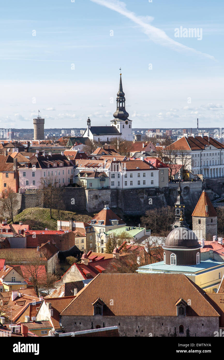 Top view of Tallinn with small houses and big churches, on blue sky ...