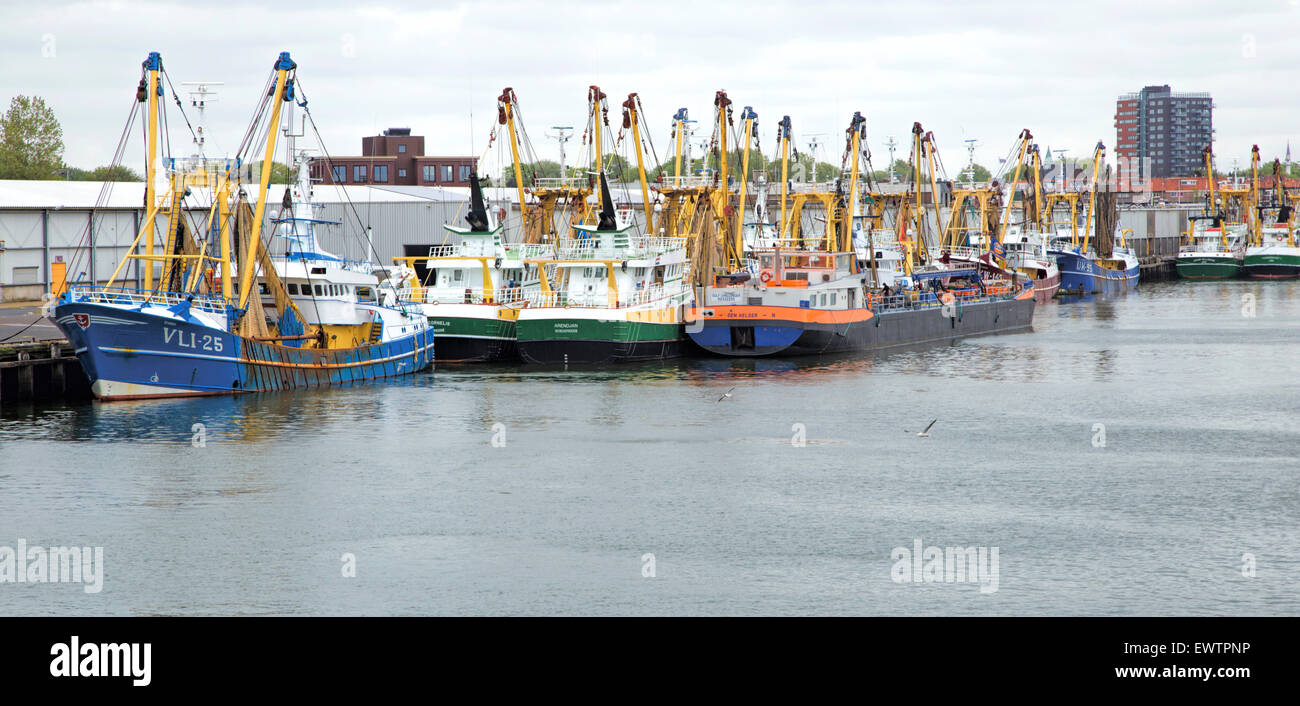 Vissershaven along trawlerkade hi-res stock photography and images - Alamy