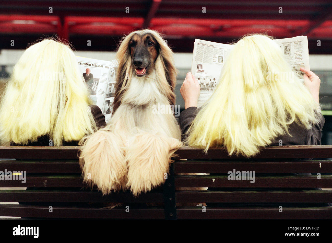 Show bench hi-res stock photography and images - Alamy